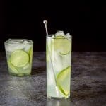 Gin Lime Rickey | So Refreshing and Delicious | Dishes Delish
