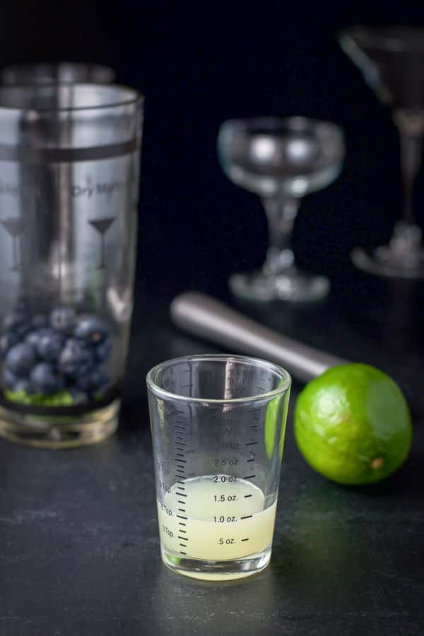 Blueberry Mint Cosmo | Colorful and Scrumptious | Dishes Delish