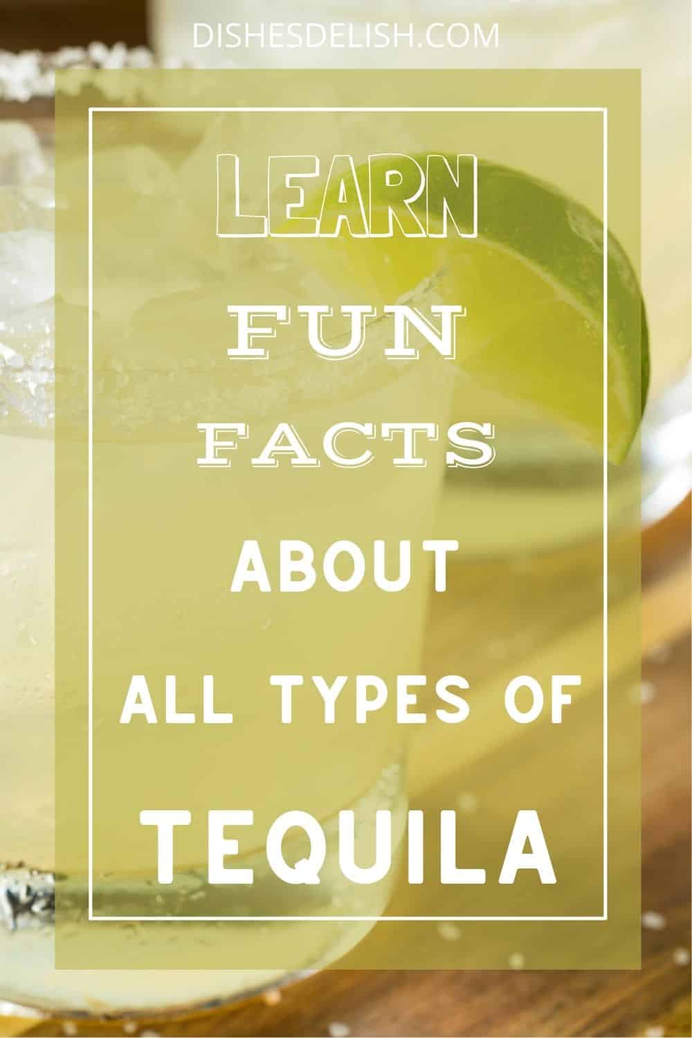 Tequila 101 | A Complete Guide to Tequila | Dishes Delish