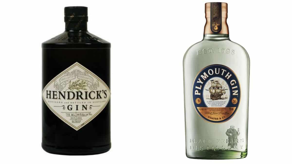 Gin 101 - A Complete Guide to Gin - Dishes Delish