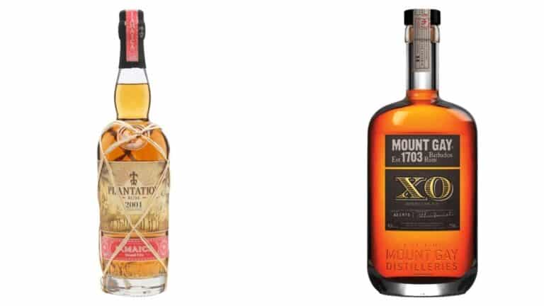 Rum 101: A Complete Guide to Rum - Dishes Delish