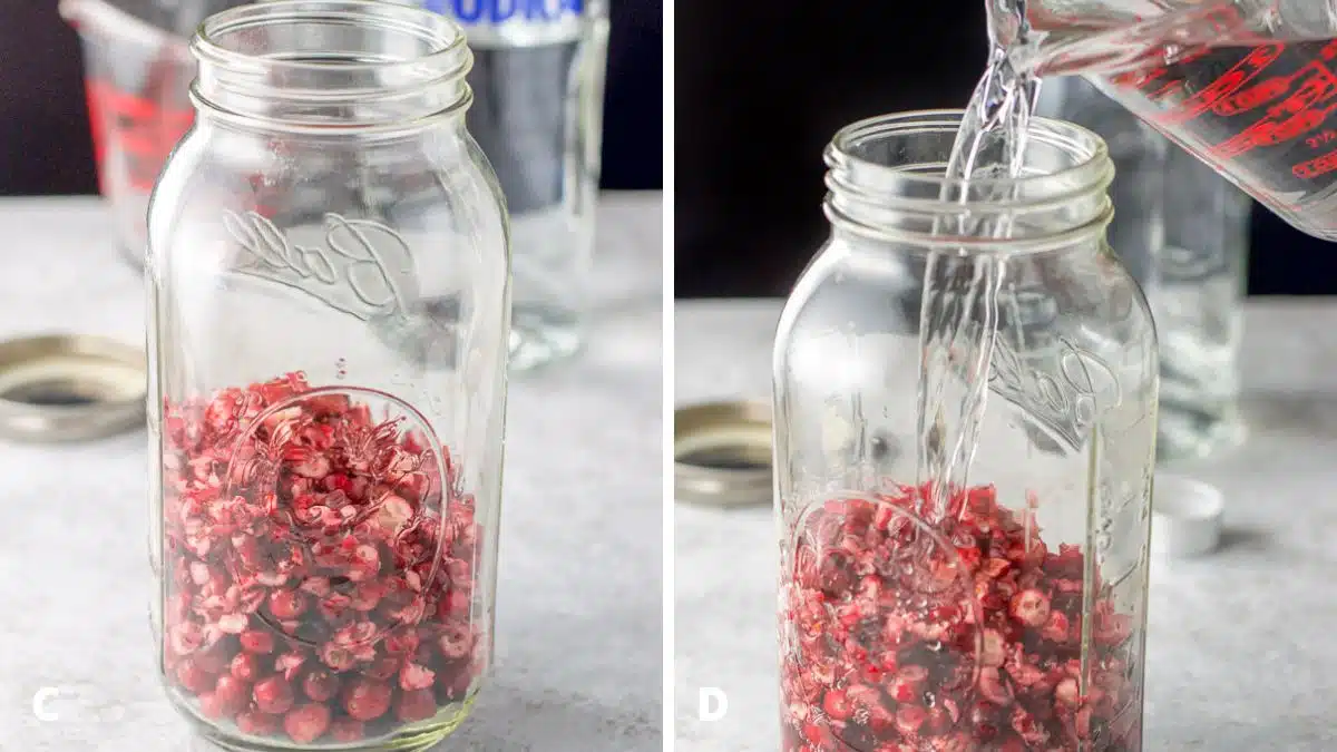 Cranberry Infused Vodka | Dishes Delish