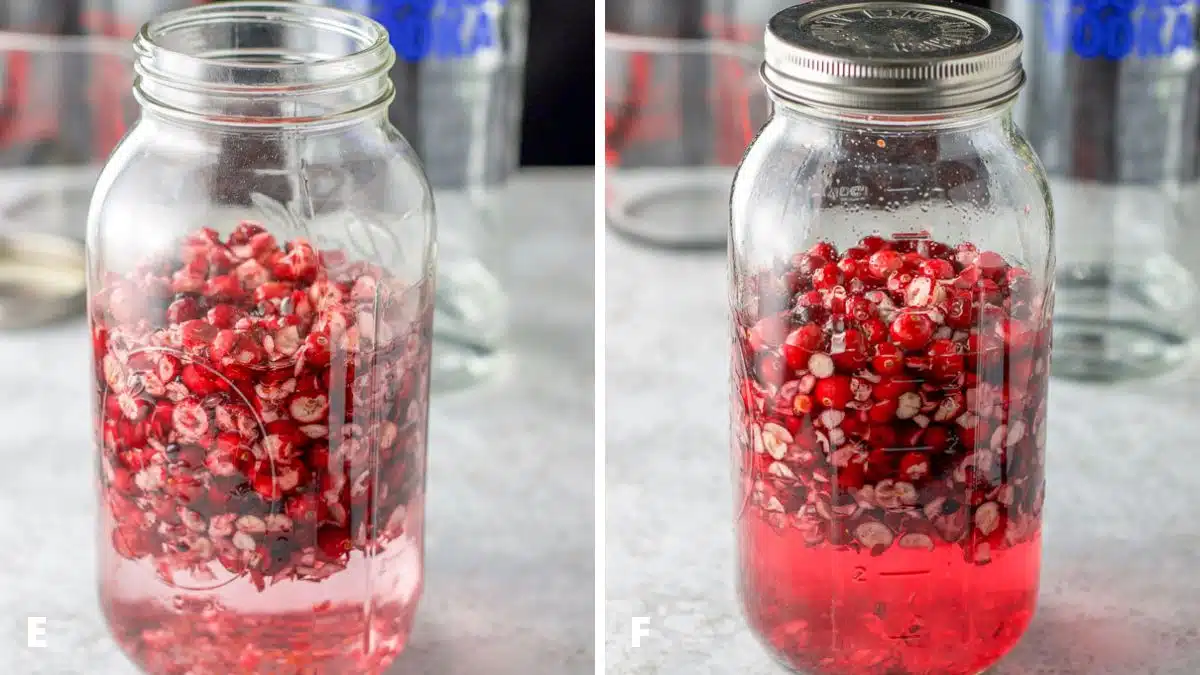 Cranberry Infused Vodka | Dishes Delish