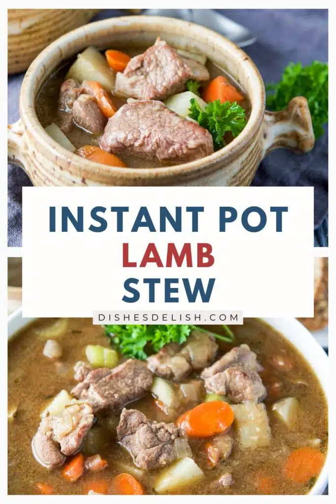 Instant Pot Lamb Stew - Dishes Delish
