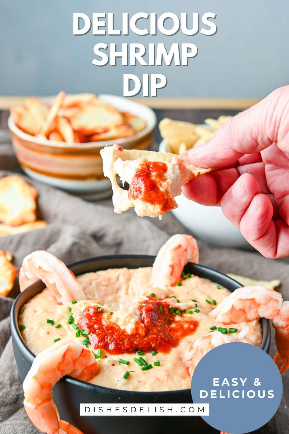 Shrimp Dip - Dishes Delish